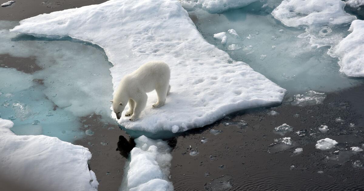 Meereis der Arktis auf zweitkleinste Fläche geschrumpft | GMX.AT